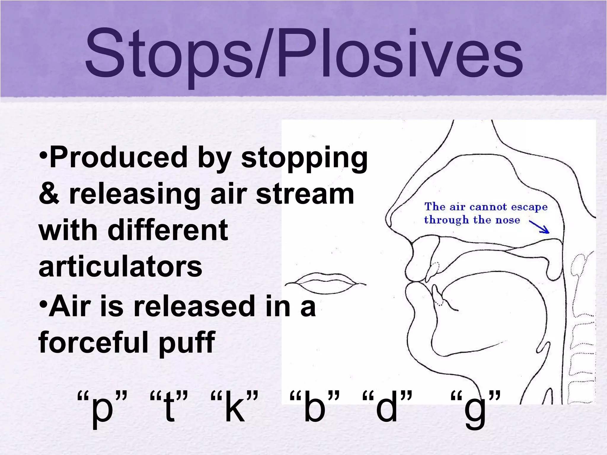 Ch 9 articulation p. 177 181 | PPT