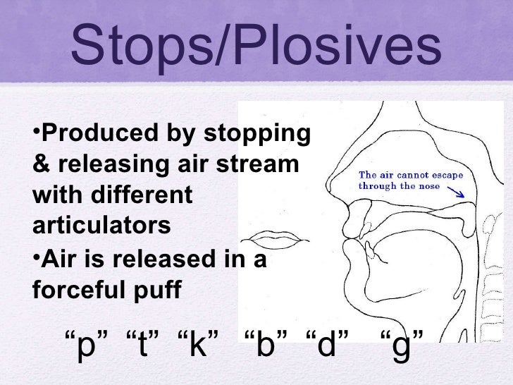 Ch 9 articulation p. 177 181