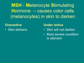 ch 9 endocrine diseases.ppt
