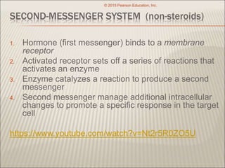 Ch 9 Hormone Function.ppt