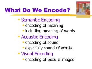 Semantic Encoding Psychology