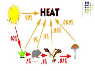 Ch 9 ppt | PPT