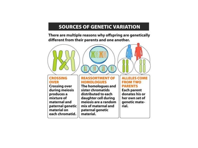 Ch 9 Sex And Meiosis Ppt