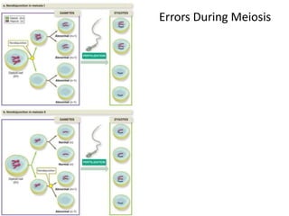 Ch 9 sex and meiosis | PPT