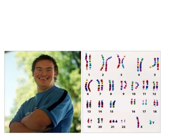 Ch 9 Sex And Meiosis Ppt Free Download