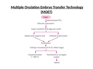 Ch 9 xii strategies for enhancement in food production | PDF ...