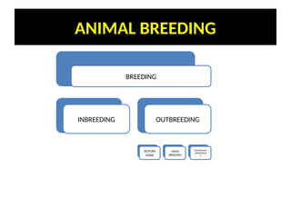 Ch 9 xii strategies for enhancement in food production | PDF ...