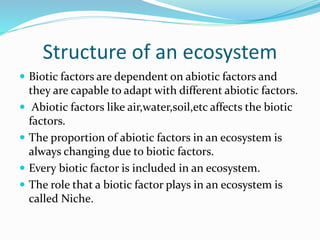 Ecosystems | PPTX