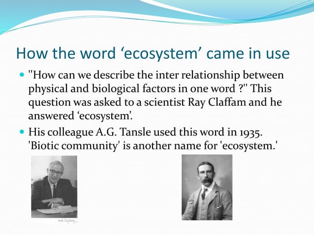 Ecosystems | PPTX | Geography | Science
