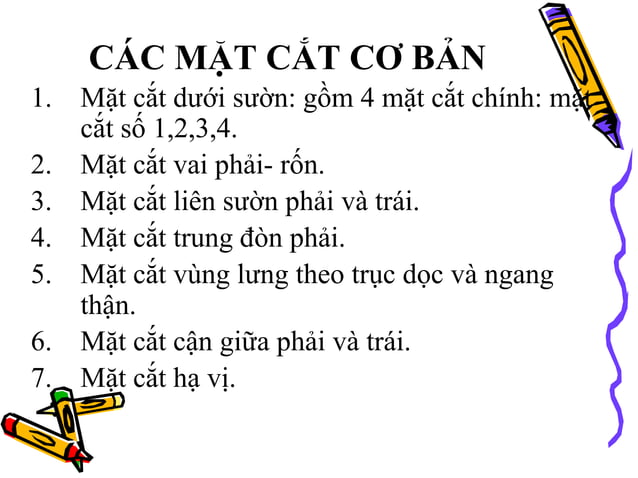 Các mặt cắt cơ bản siêu âm bụng | PDF