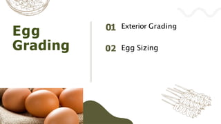 Chaaracteristics of Fresh Eggs.pptx