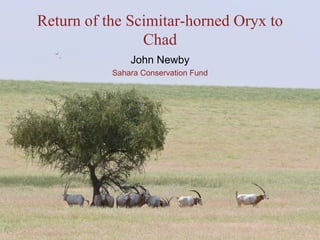 Overview and update about the oryx project in Chad | PPT