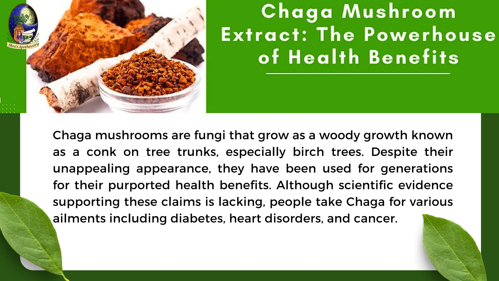 Chaga Mushroom Extract The Powerhouse of Health Benefits.pdf