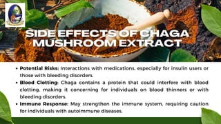 Chaga Mushroom Extract The Powerhouse of Health Benefits.pdf