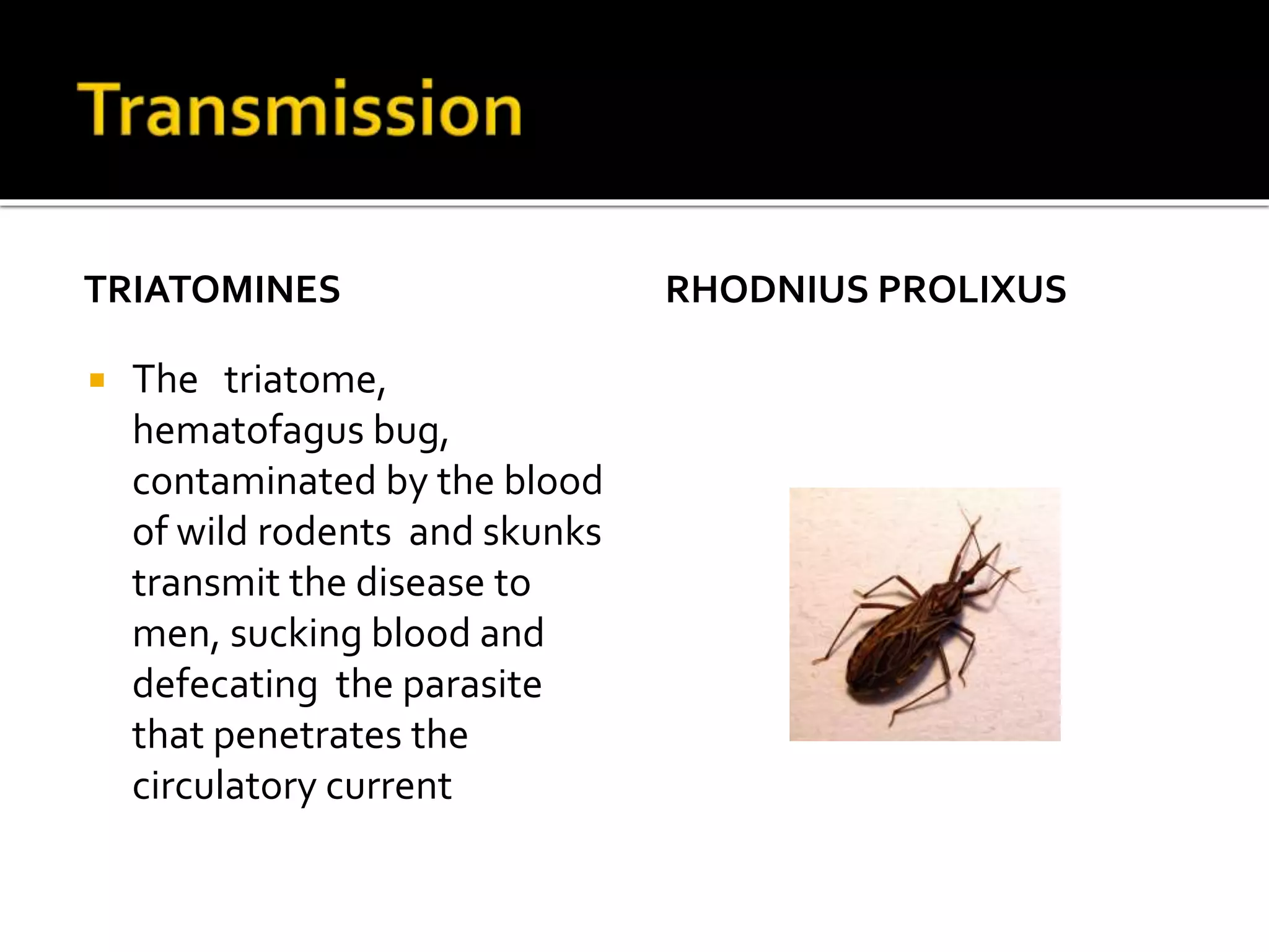 American Trypanosomiasis (Chagas' Disease) | PPTX