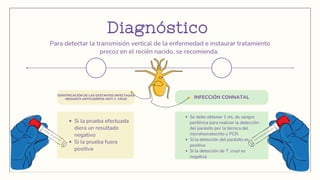 Enfermedad de Chagas congénito, para neonatología | PDF