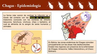 LA ENFERMEDAD DE CHAGAS - MAL DE CHAGAS . | PDF