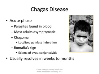 ChagasAmTrypanosomiasis.ppt