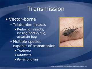 Chagas- New world Trypanosomiasis, epidemiology.ppt