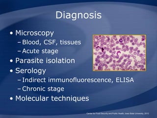 Chagas- New world Trypanosomiasis, epidemiology.ppt