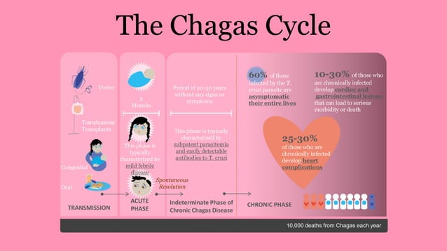 Chagas Disease (American Trypanosomiasis) | PPTX | Infectious Diseases ...