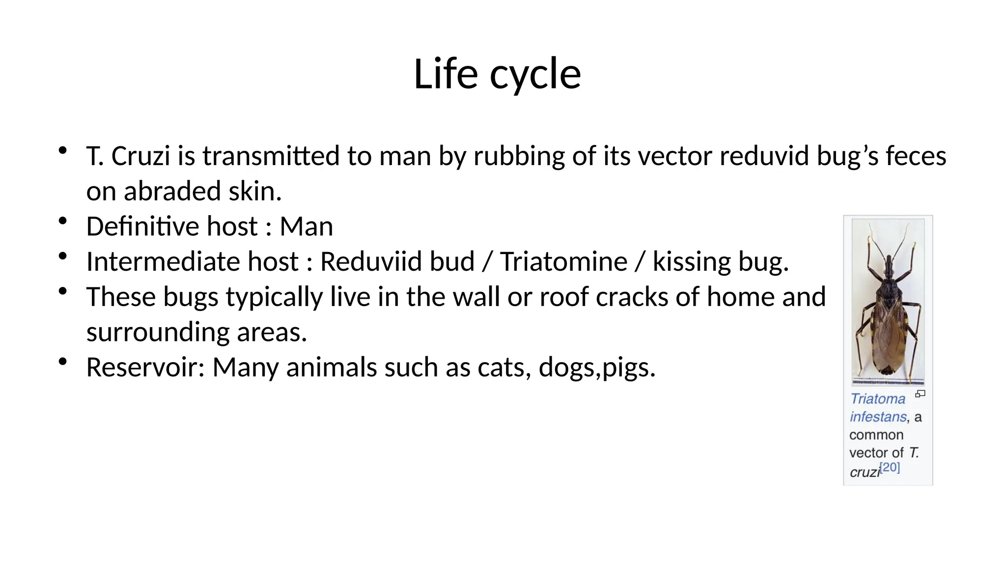 Chagas Disease aka kissing bug disease or Trypanosoma cruzi | PPT