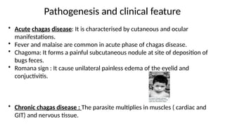 Chagas’ Disease: Pathogenesis, Diagnosis, and Control | PPTX