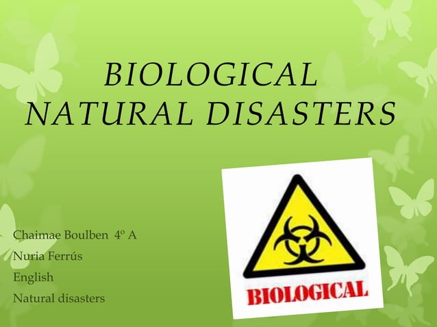 Chaimae Boulben Biological Natural Disasters | PPTX
