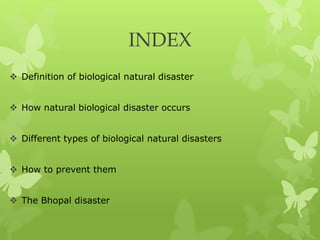 Chaimae Boulben Biological Natural Disasters | PPTX
