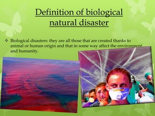 Chaimae Boulben Biological Natural Disasters | PPTX