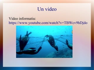 Els plàstics a la nostra vida_ Chaimae-Marc-Miguel-Luka | PPT