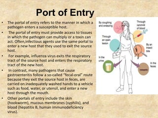 Chain of infection | PPT