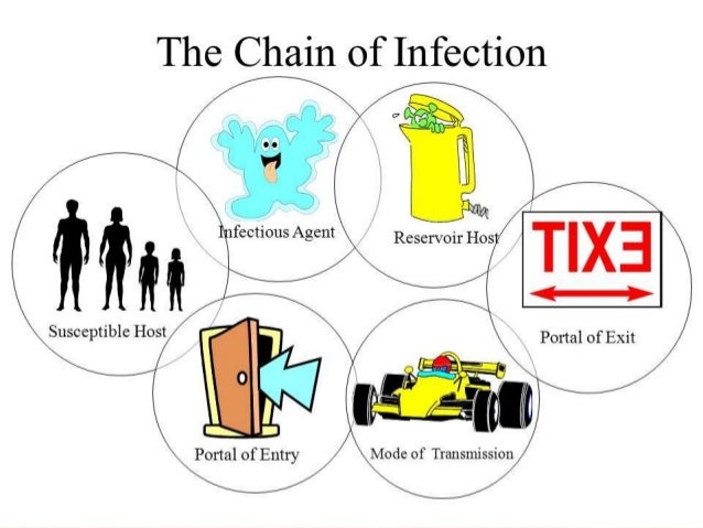 Chain Of Infection Process