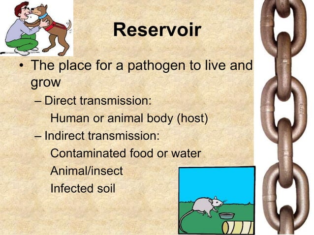 Chain of Infection | PPTX