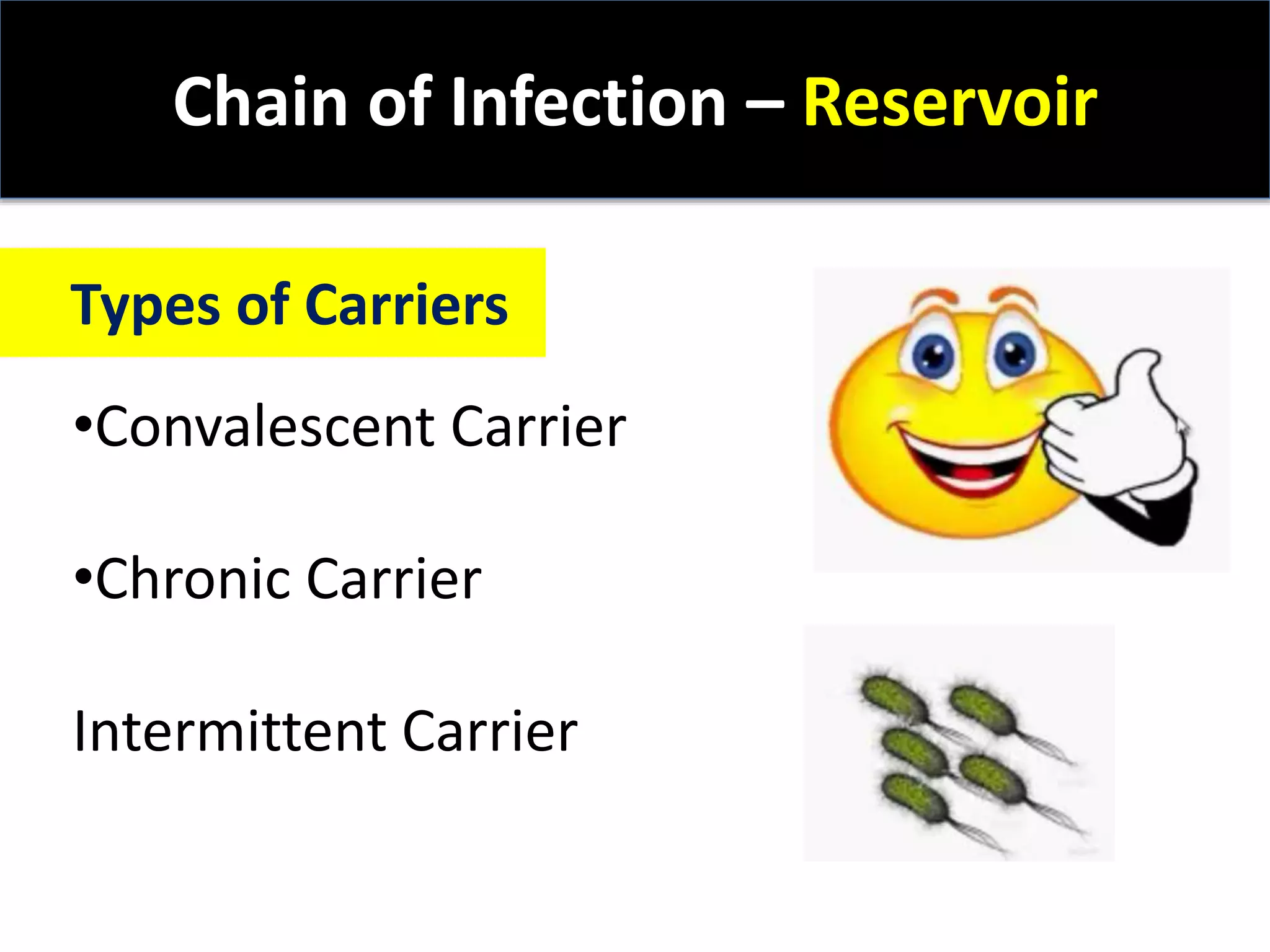 Chain of infection infectious disease process | PPTX