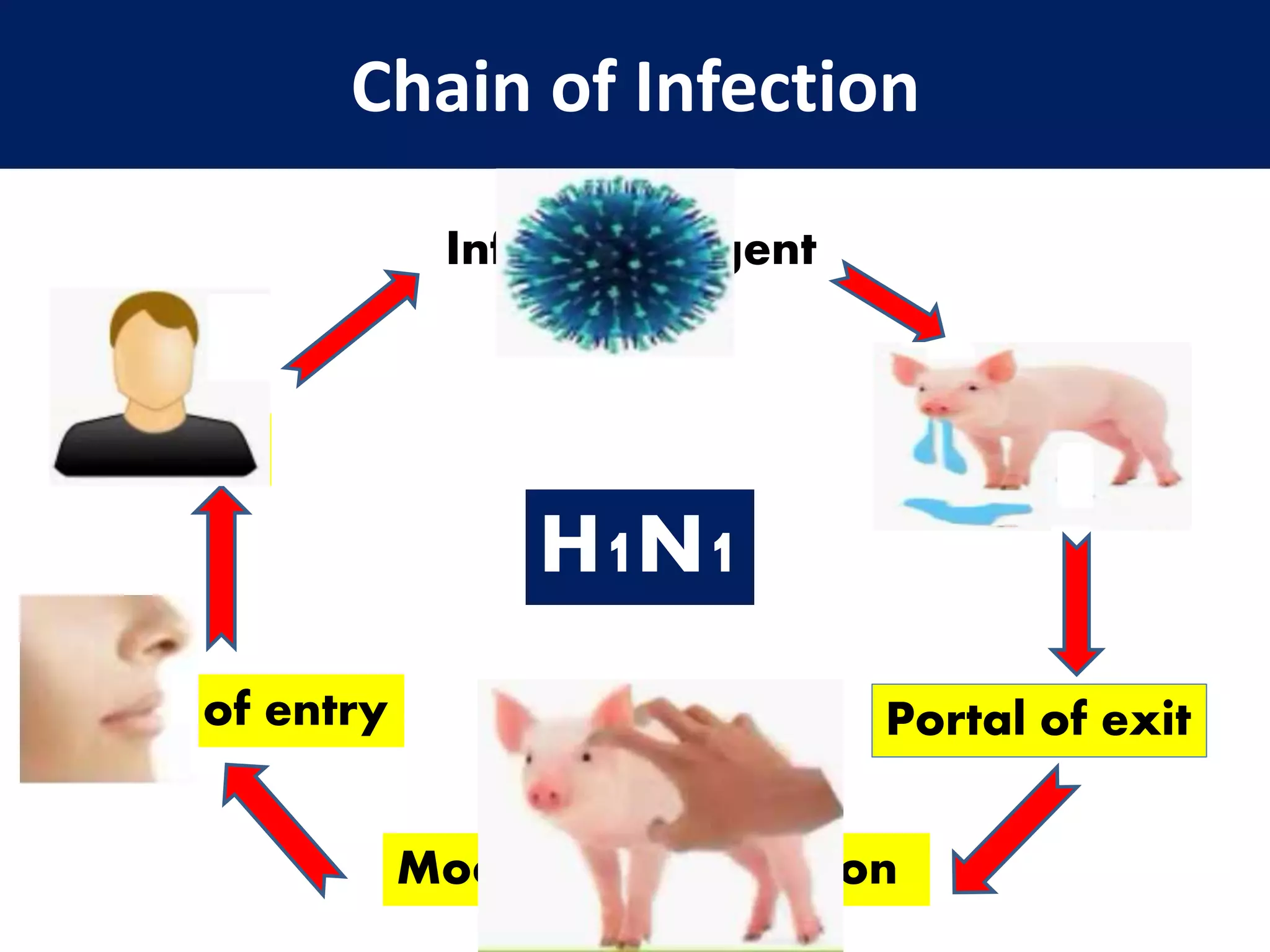Chain of infection infectious disease process | PPTX