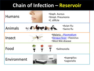Chain of infection infectious disease process | PPTX