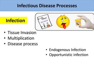 Chain of infection infectious disease process | PPTX