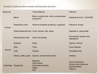Chain of infection | PPTX
