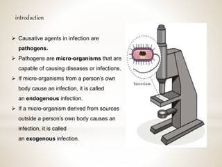 Chain of infection | PPTX