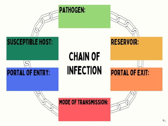 Chain_of_Infection.ppt