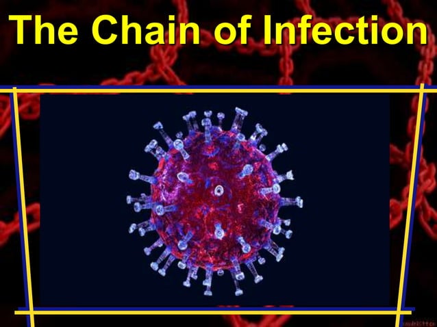 Chain_of_Infection.ppt