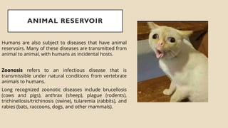 CHAIN OF INFECTION IN BIOSTATISTICS AND EPIDEMOLOGY | PPT