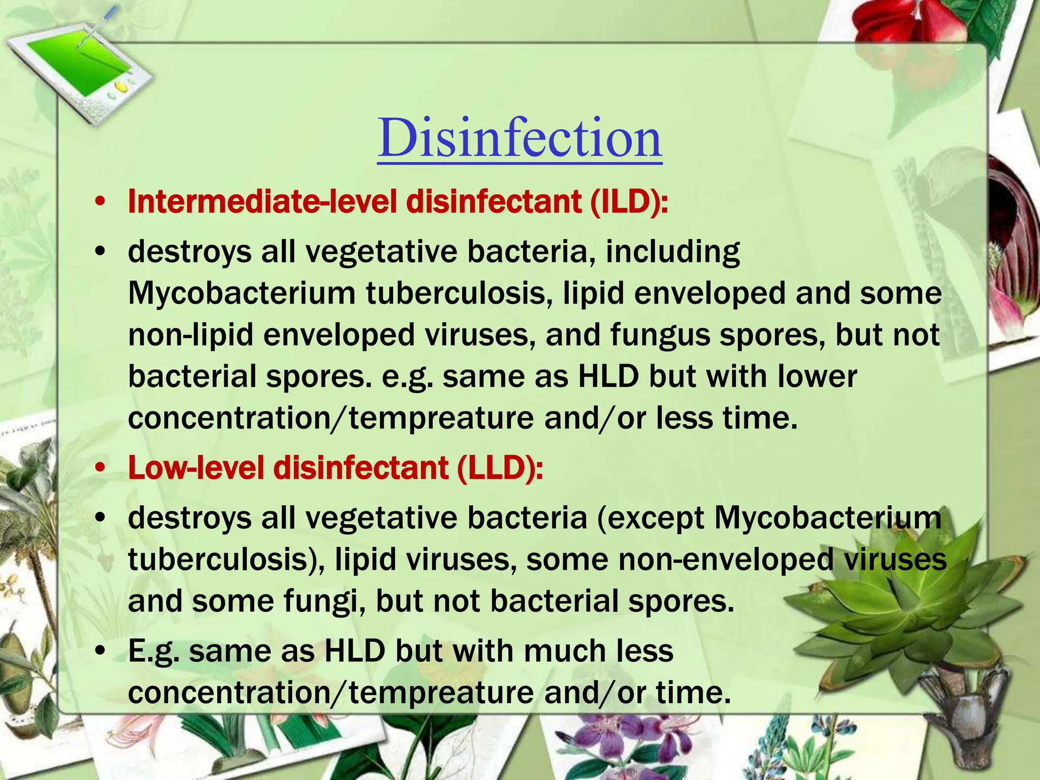 CHAIN OF INFECTION.pdf................... | PDF