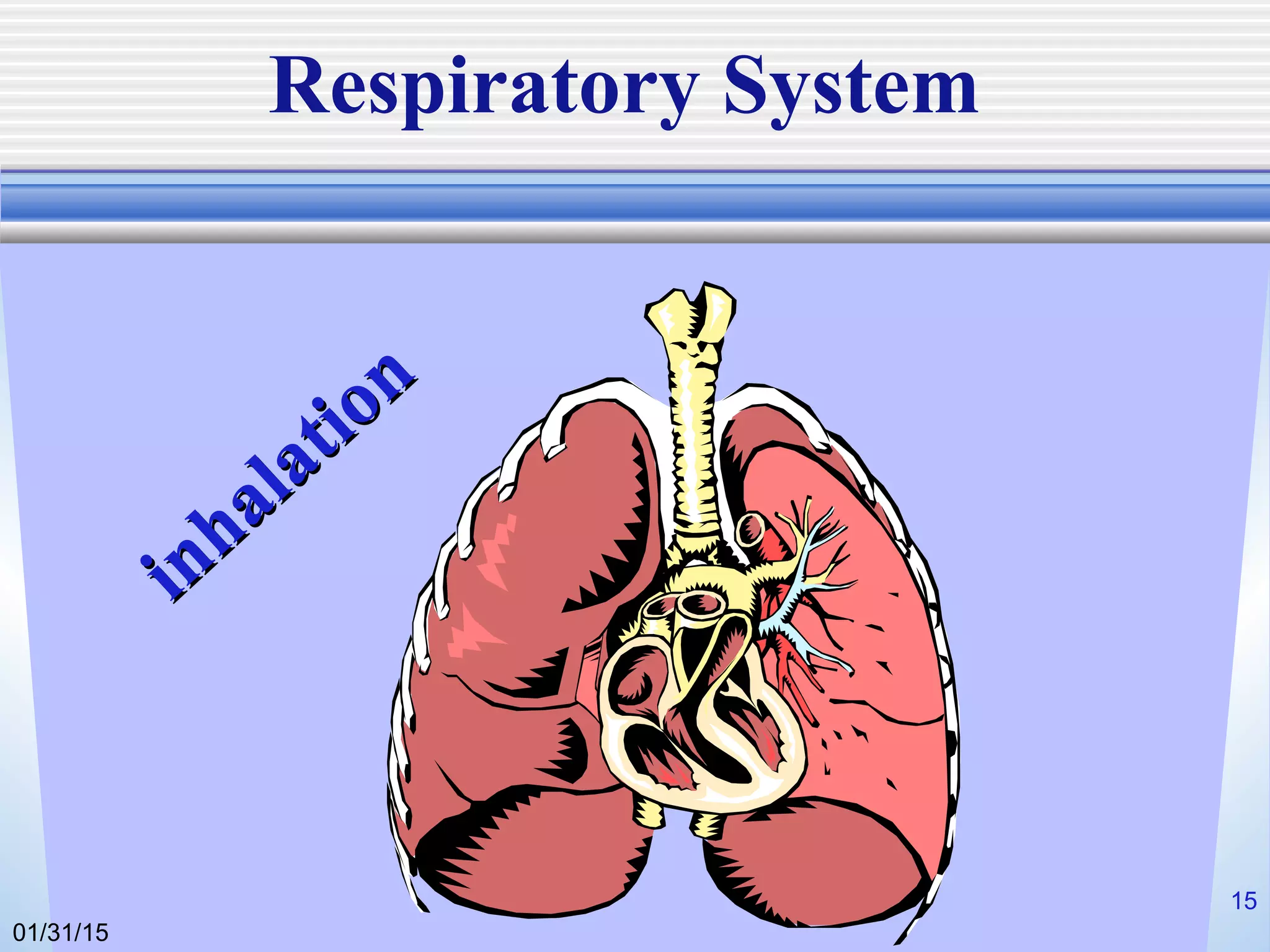 Chain of infection ash | PPT