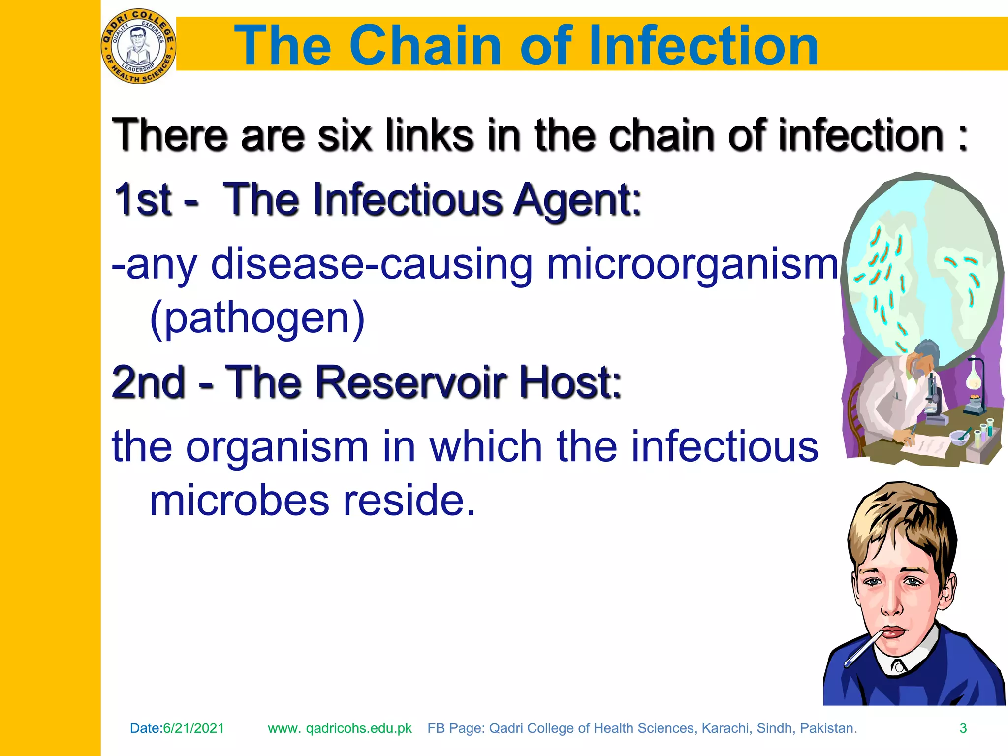 Chain of infection | PDF