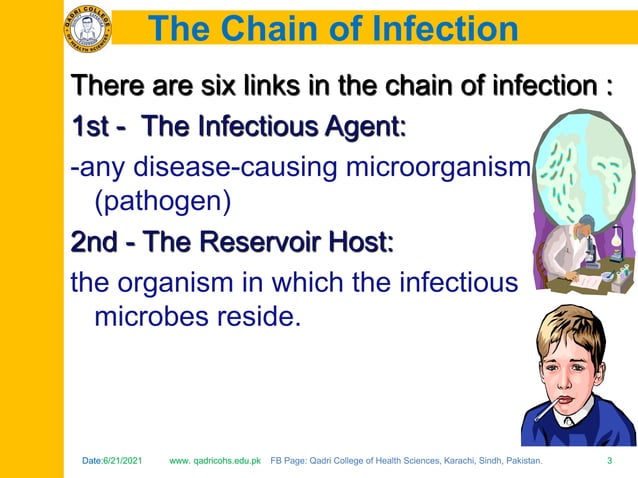 Chain of infection | PDF | Infectious Diseases | Diseases and Conditions