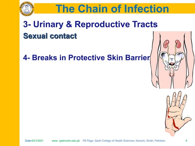 Chain of infection | PDF | Infectious Diseases | Diseases and Conditions