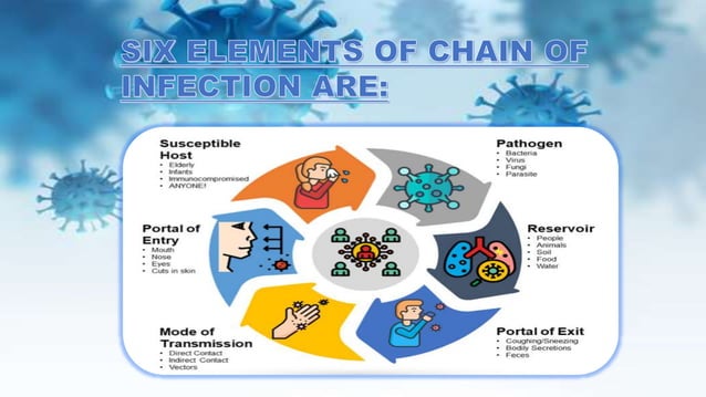 chain of infection presesntation including elements.pptx | Infectious ...