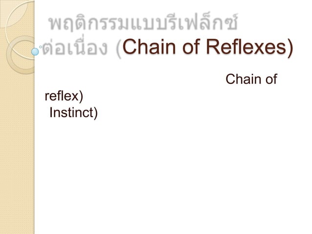 Chain of reflexes.ppt | Science